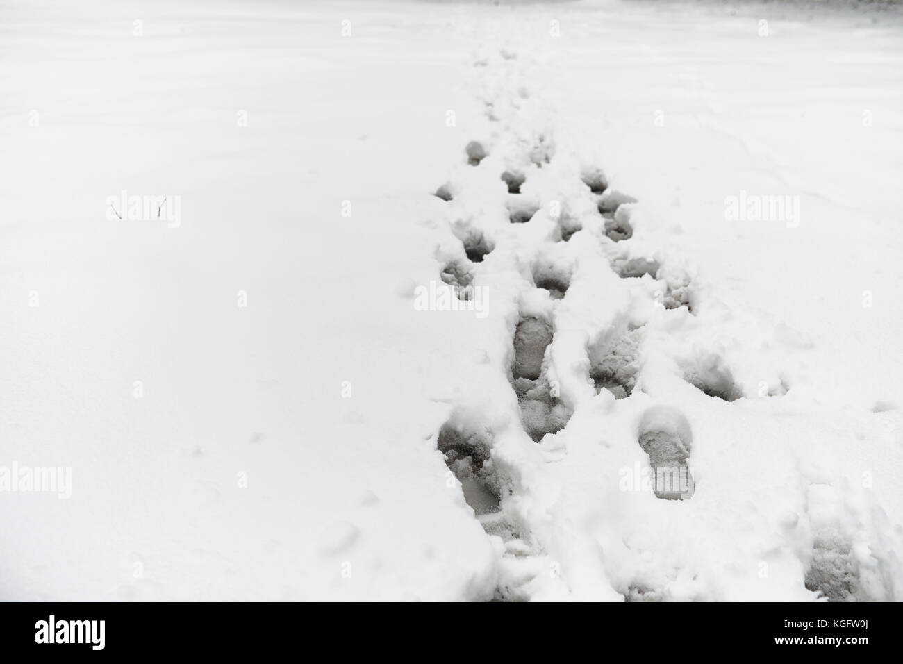 Footprints in the snow. Footprints on the first snow. Imprint of Stock ...