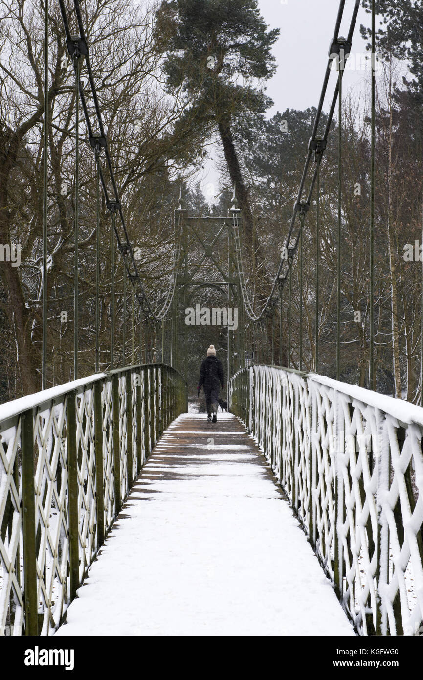 Cold, winter scene, 1 woman walking with dog, across narrow, snow ...