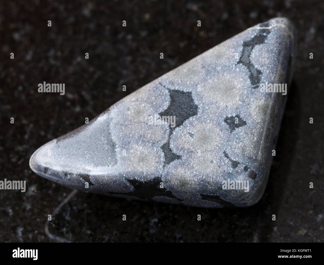 macro shooting of natural mineral rock specimen - polished Variolite ...