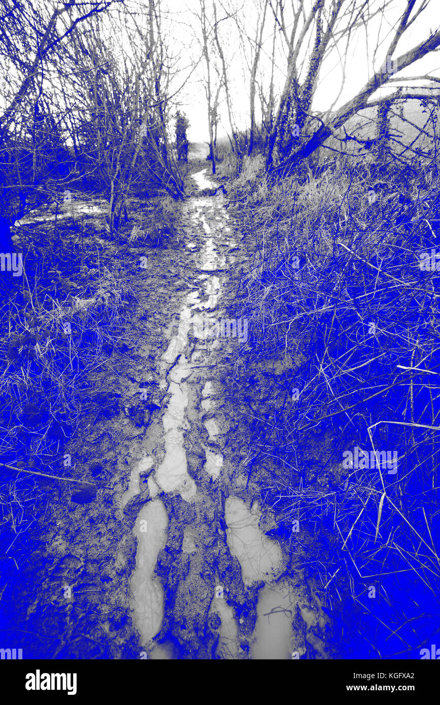 Red Path, Blue Path. Art Backgrounds showing nature in unusual colours ...