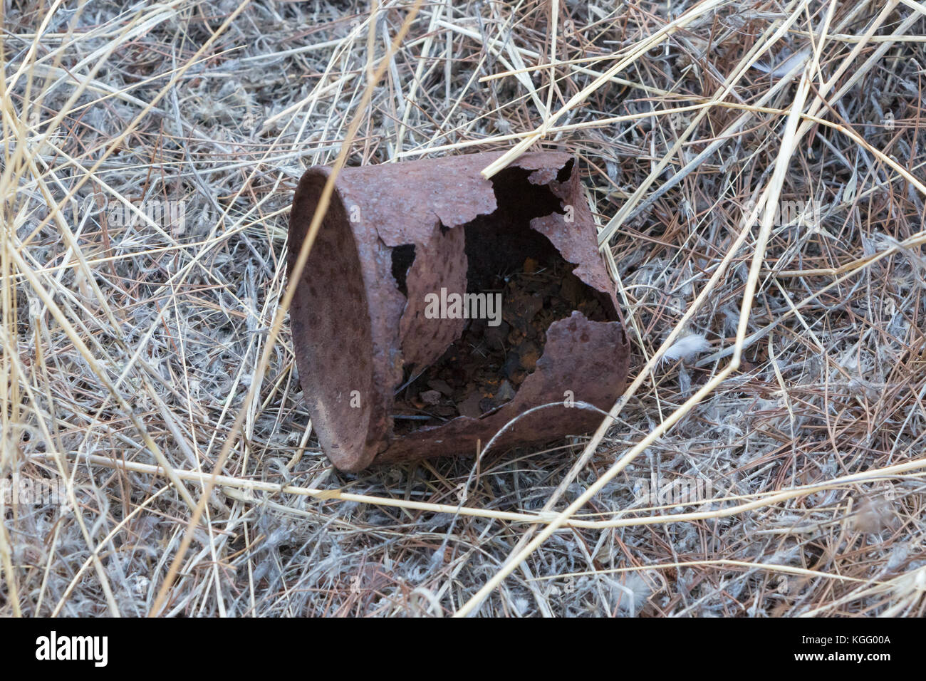 Garbage in nature - A rusty can on a field Stock Photo - Alamy
