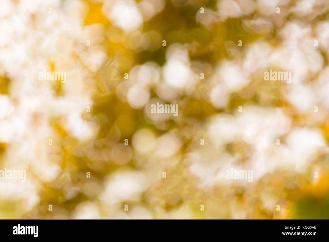 natural bokeh background Stock Photo - Alamy