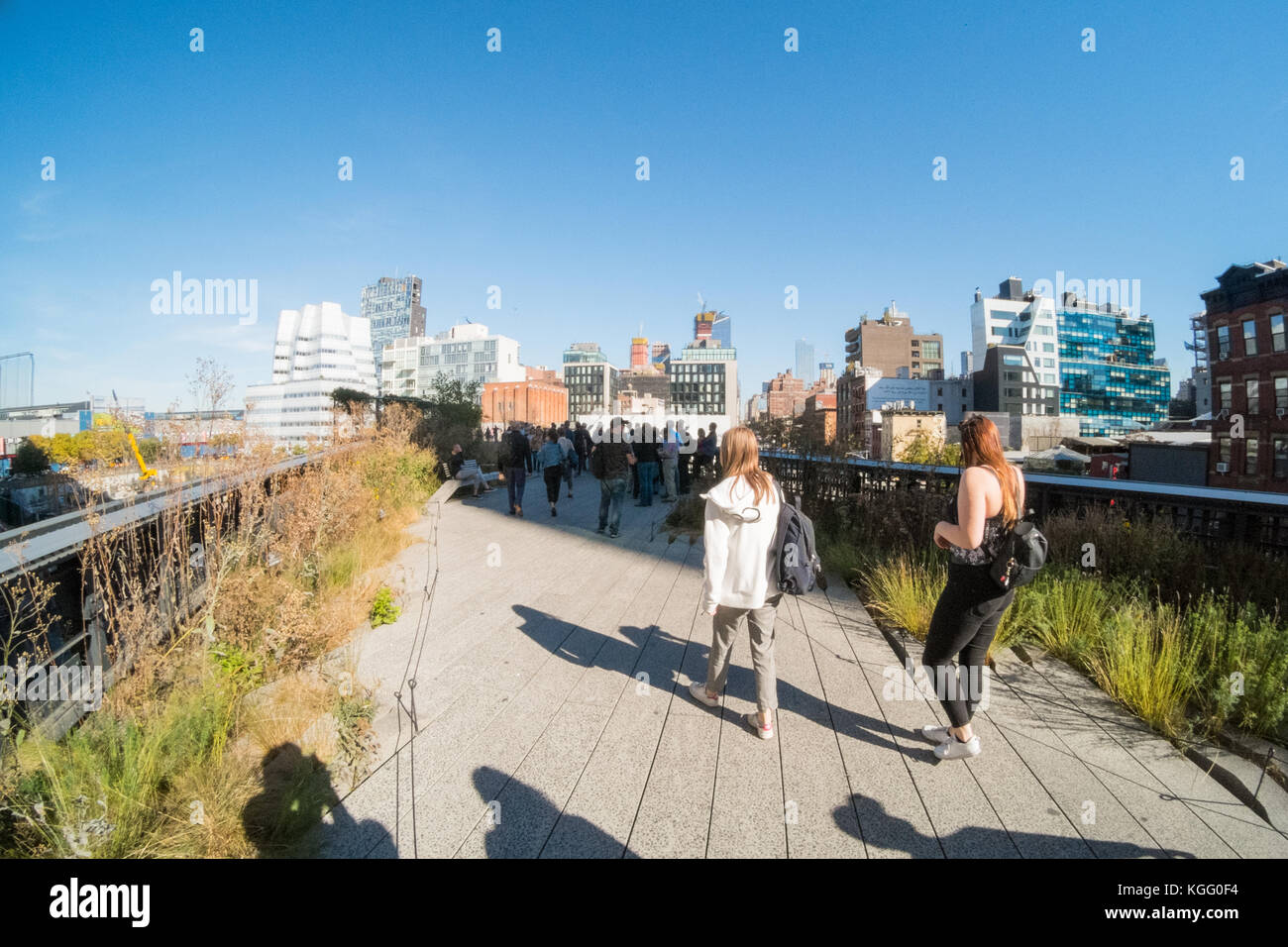 The High Line, Chelsea, New York City, United States of America Stock ...