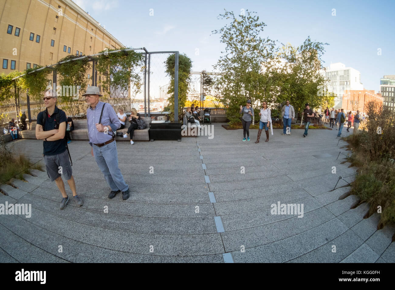 The High Line, Chelsea, New York City, United States of America Stock ...