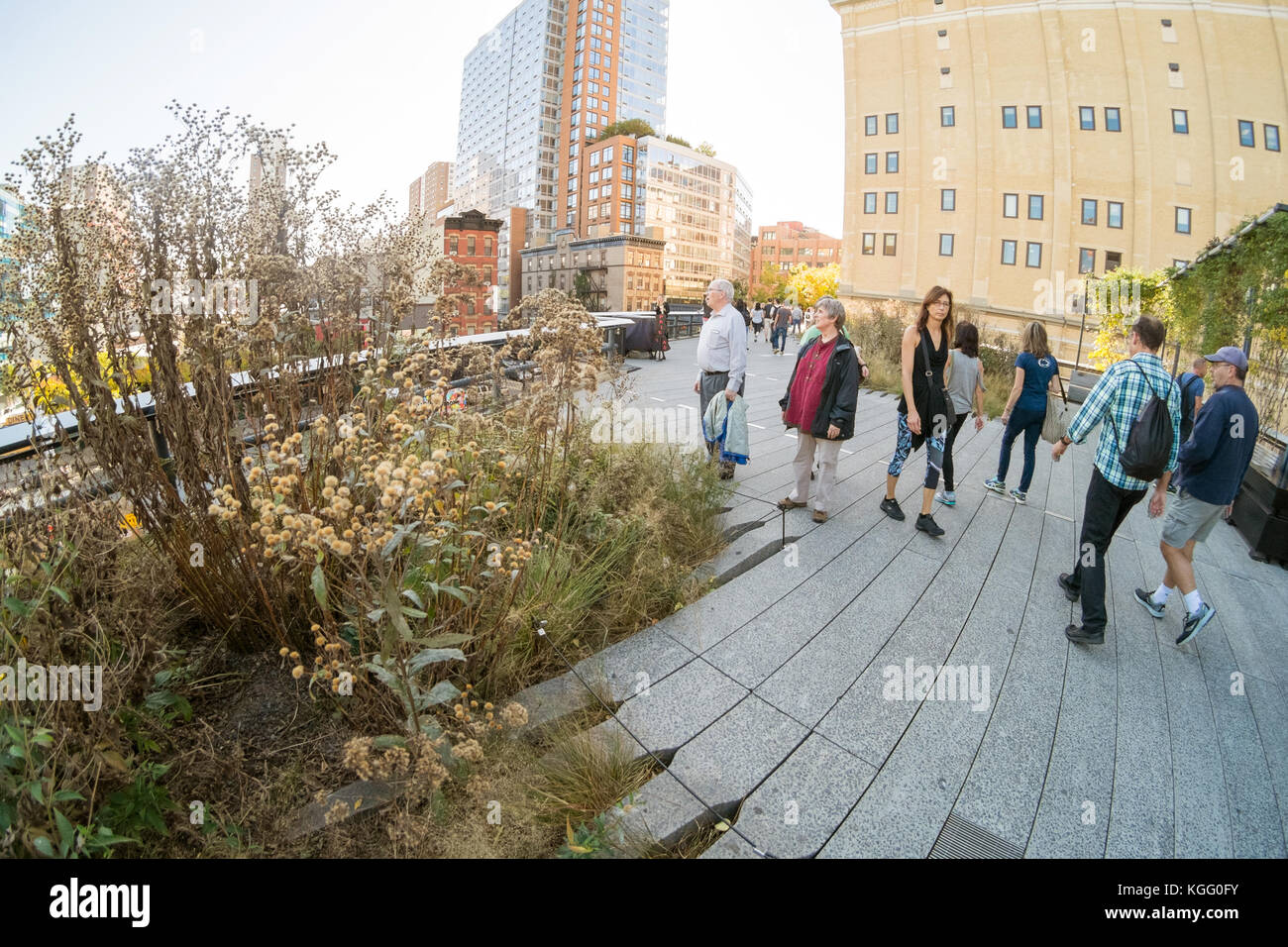 The High Line, Chelsea, New York City, United States of America Stock ...