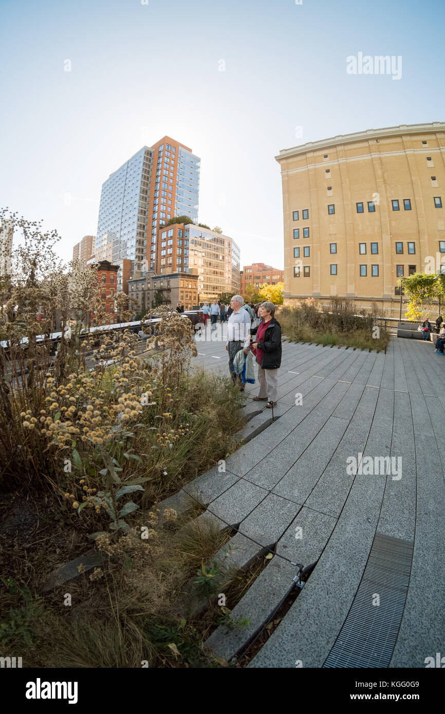 The High Line, Chelsea, New York City, United States of America Stock ...