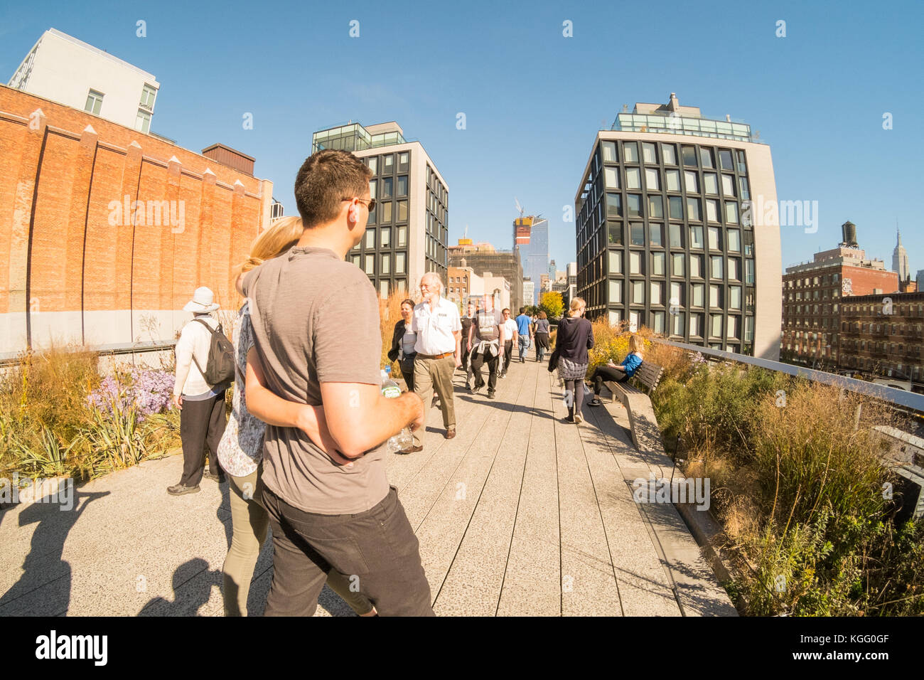 The High Line, Chelsea, New York City, United States of America Stock ...