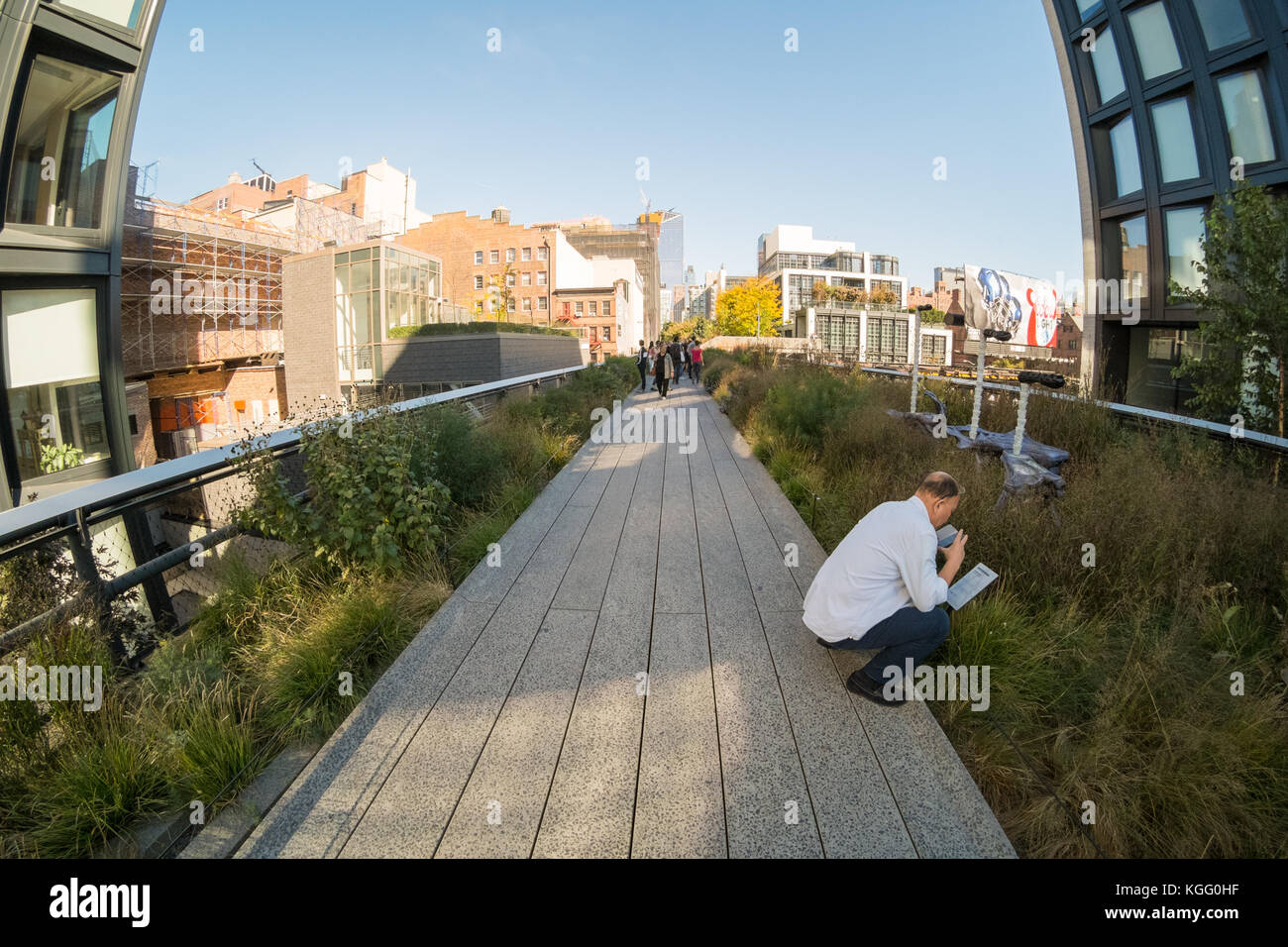The High Line, Chelsea, New York City, United States of America Stock ...