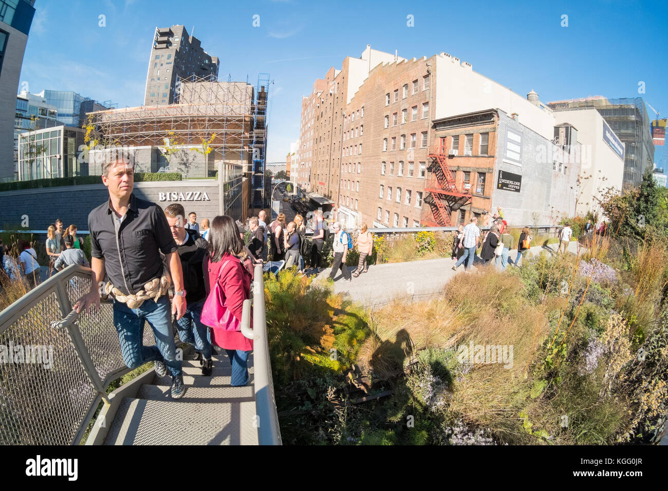 The High Line, Chelsea, New York City, United States of America Stock ...