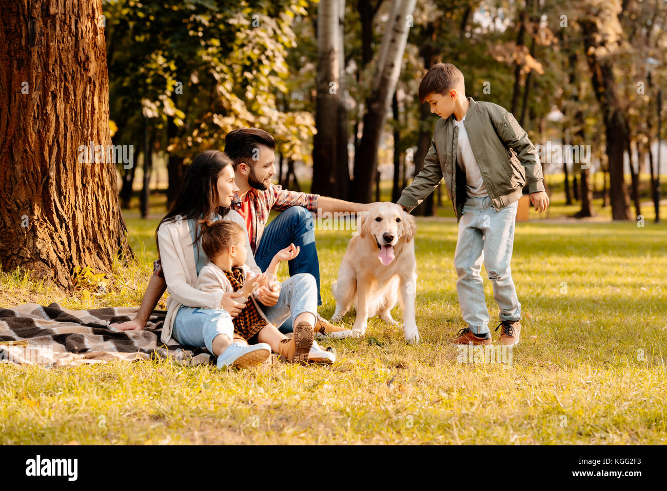 Family playing with dog in park Stock Photo - Alamy
