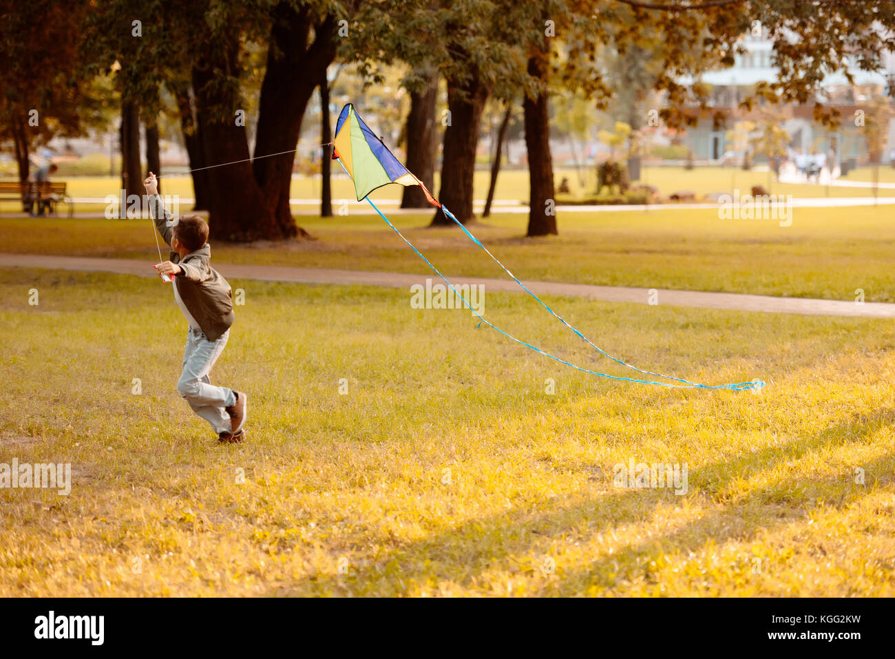 Boy kite in park hi-res stock photography and images - Alamy