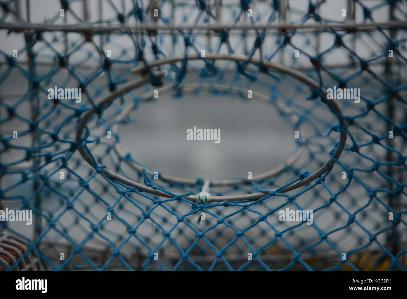 Lobster fishing hi-res stock photography and images - Alamy