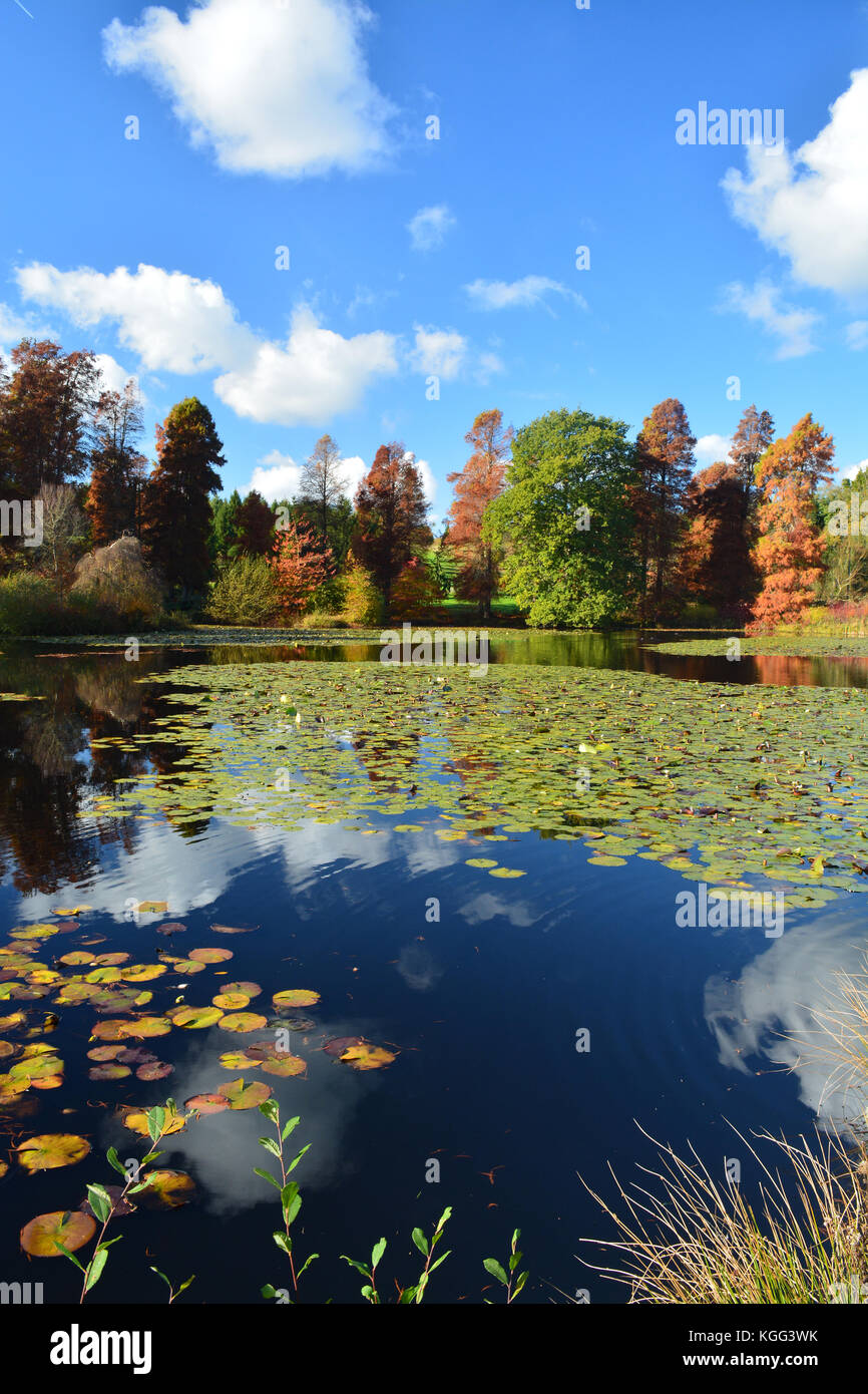 Bedgebury Pinetum, Kent Stock Photo - Alamy