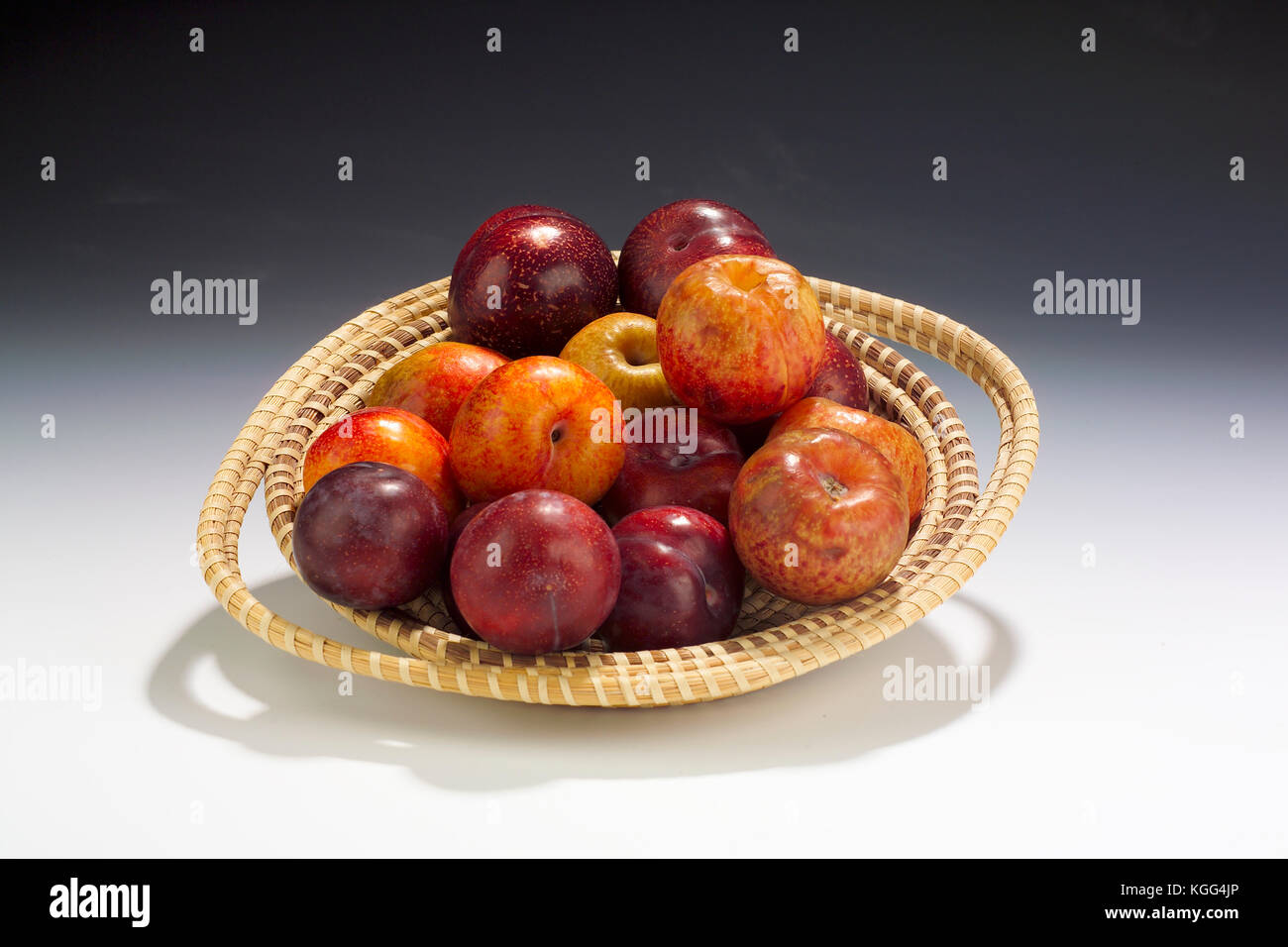 Dinosaur eat egg hi-res stock photography and images - Alamy