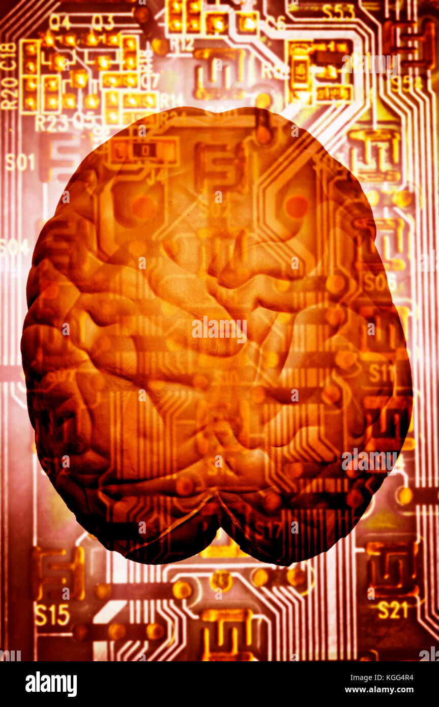 electronics component and human brain, wired brain concept Stock Photo ...