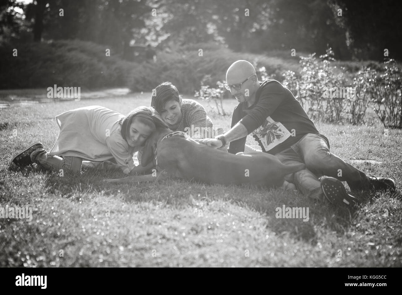 Black and white image of Beautiful gorgeous family of three play Stock ...