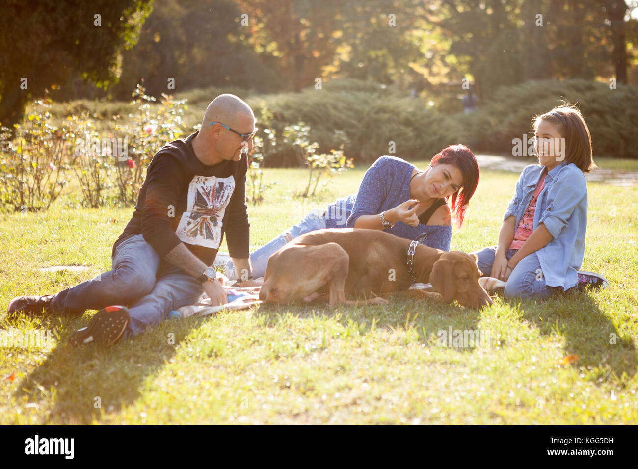 Happy family of three playing in the park with their dog Stock Photo ...