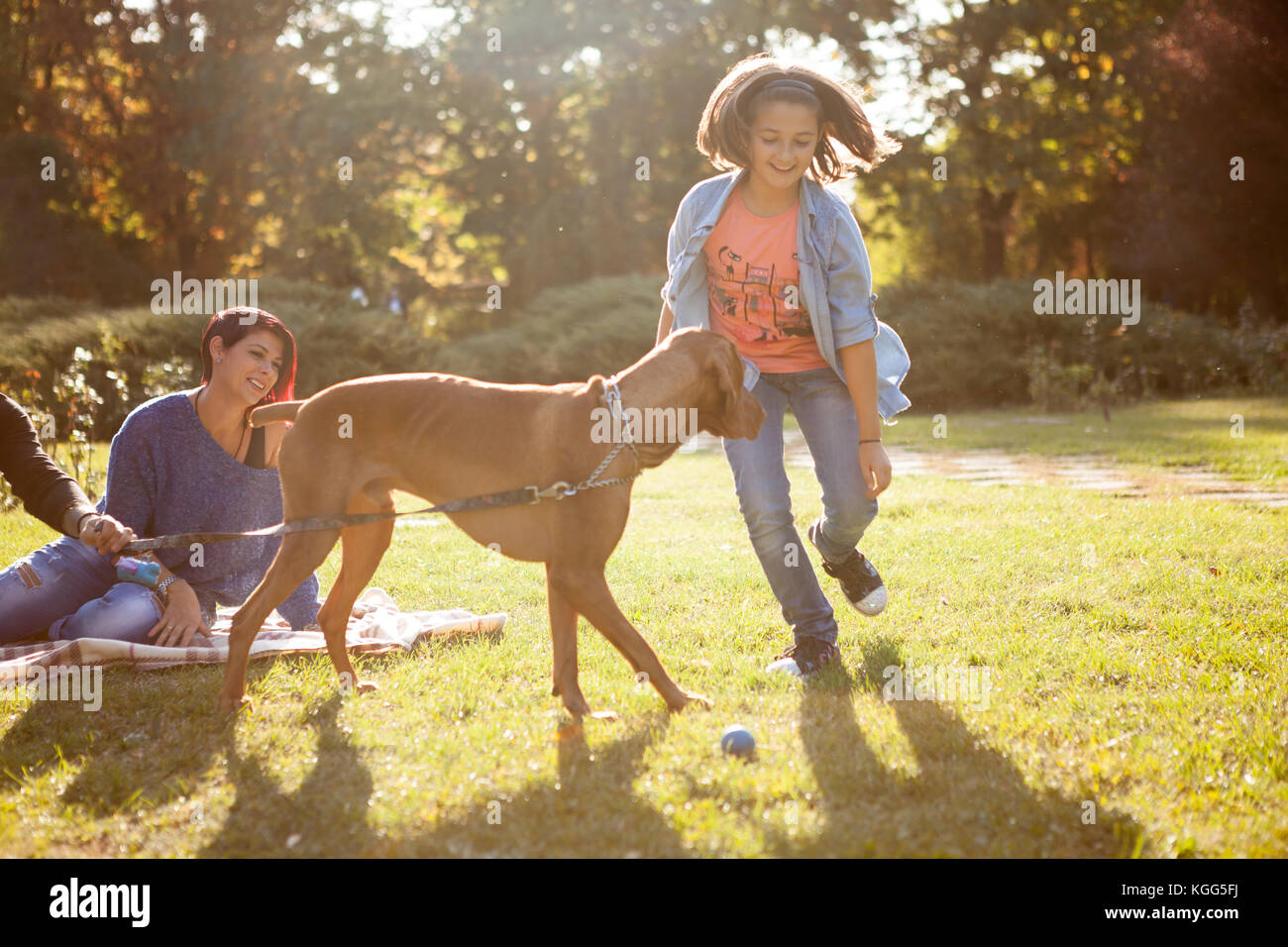 Three people playing in the park with their dog Stock Photo - Alamy