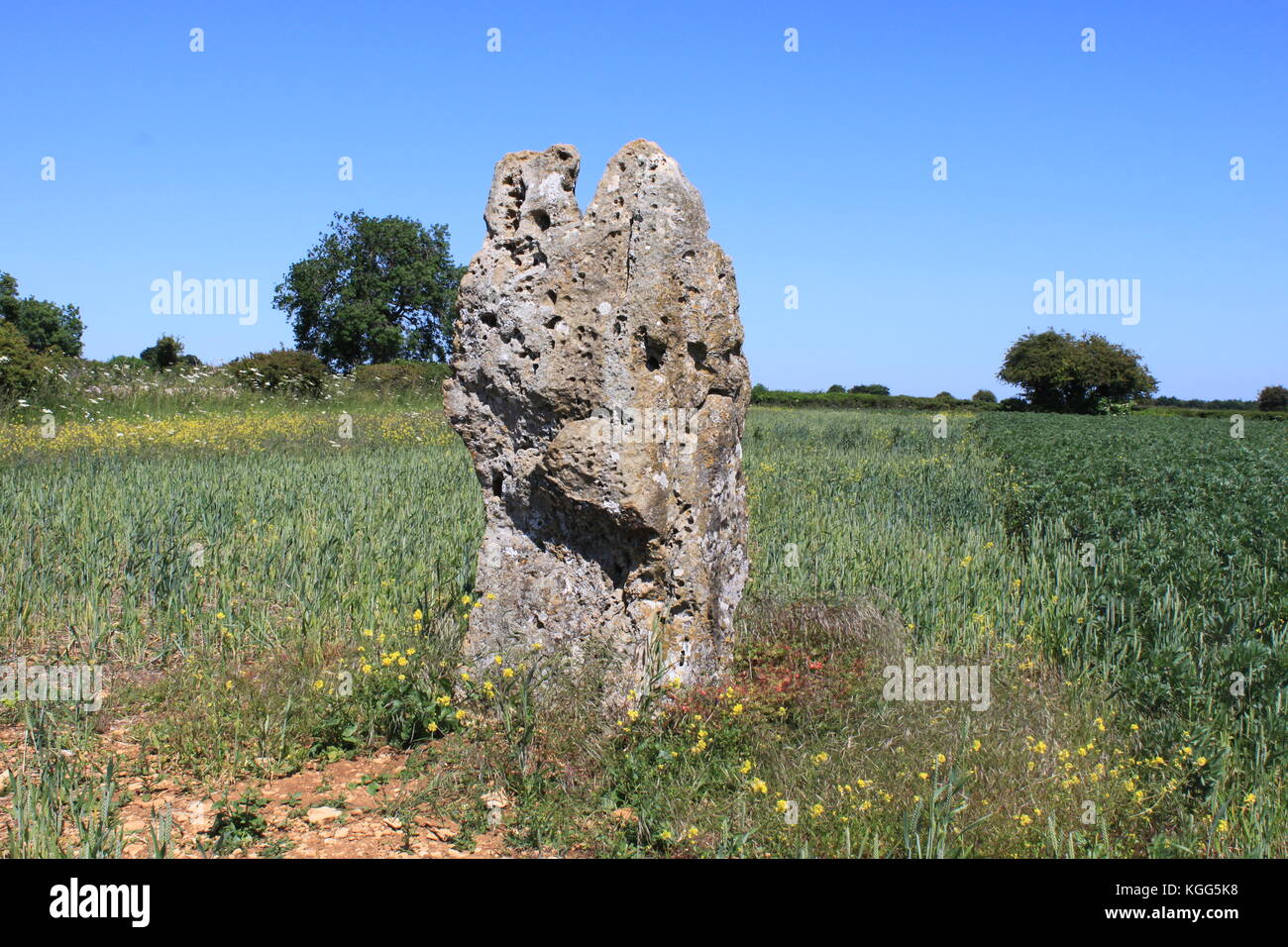 Hawkstone neolithic Standing stone. Spelsbury down Farm. Dean, Oxfordshire,England.UK Stock ...