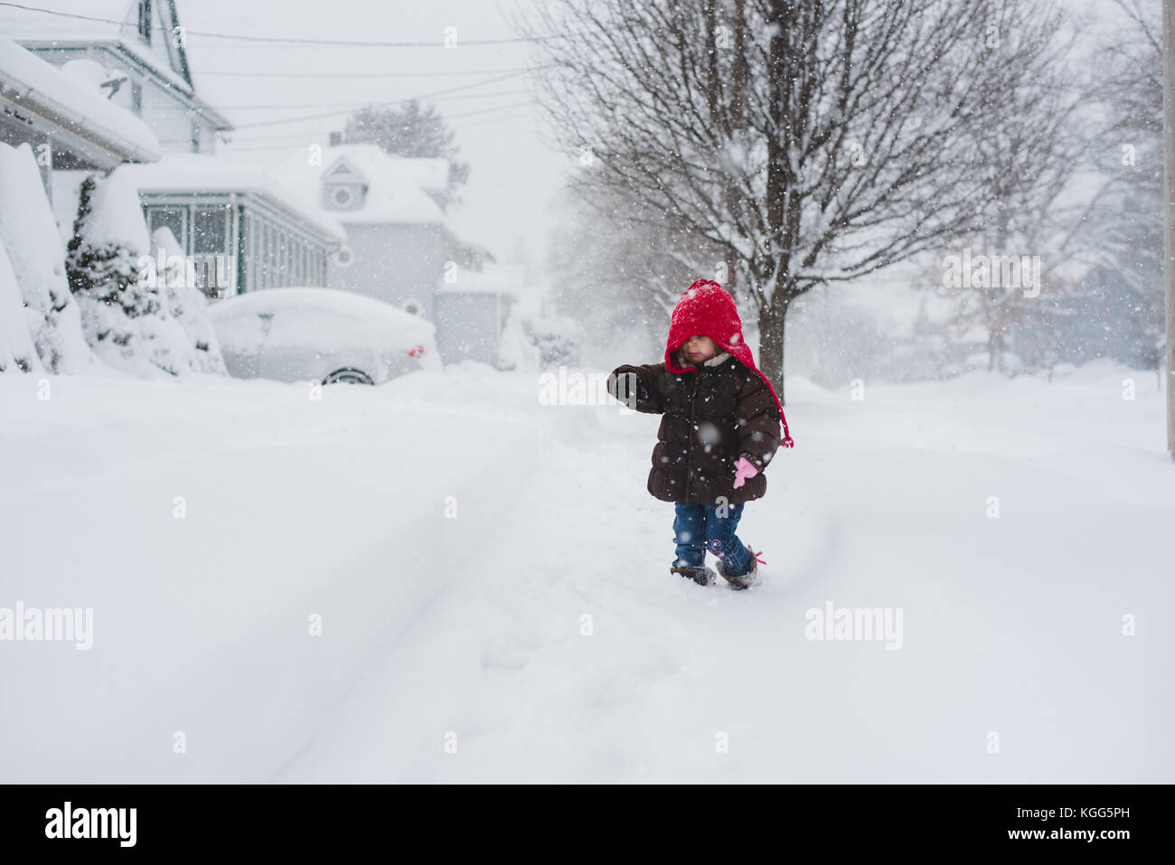 2-3 year old standing in the middle of a snow storm Stock Photo - Alamy