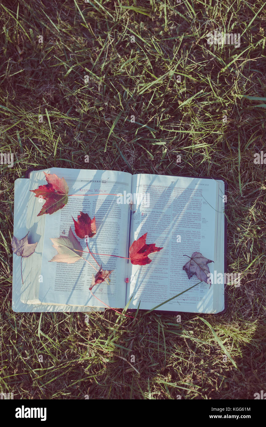 A Bible with autumn leaves laying on top Stock Photo - Alamy