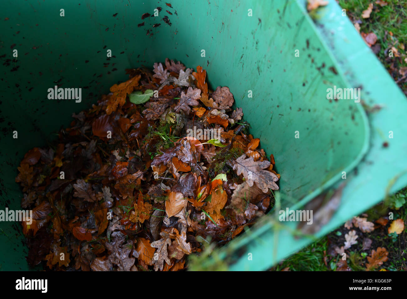 Clearing the garden of fallen leaves from the Autumn fall and recycling ...