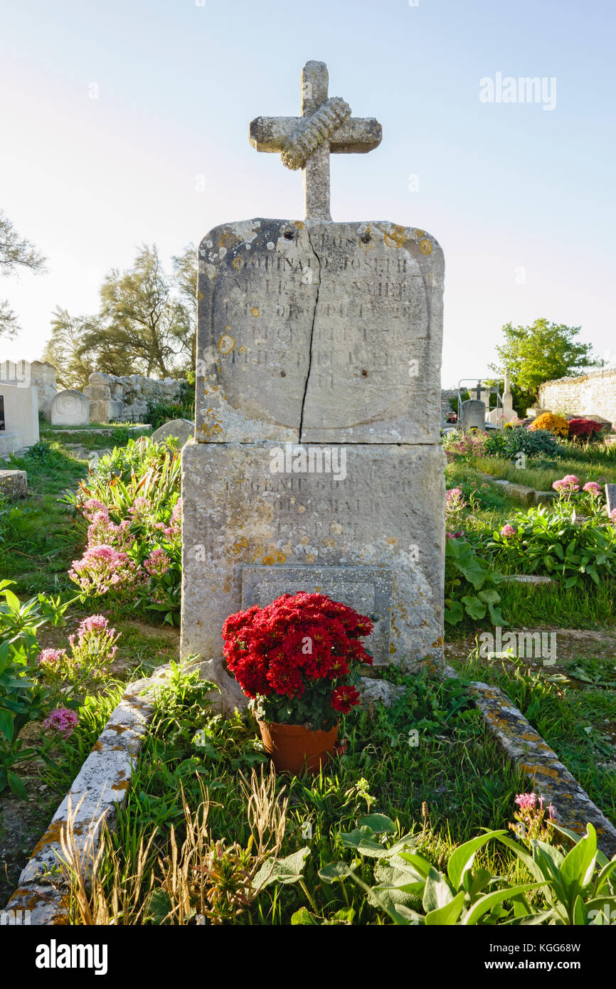 Chrysanthemum On Grave In Cemetery High Resolution Stock Photography ...