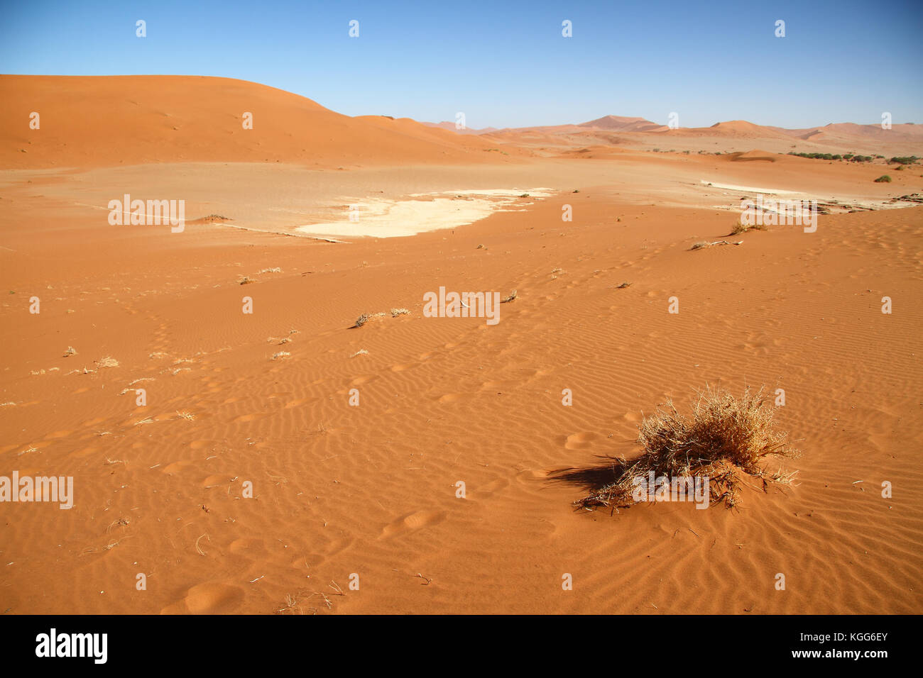 Namibia salt pan aerial hi-res stock photography and images - Alamy
