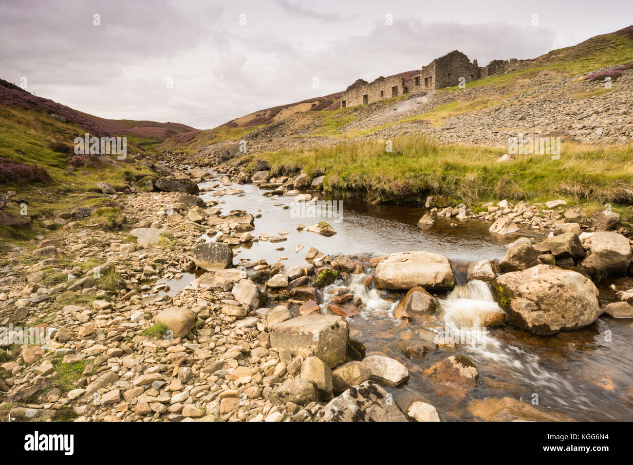 Surrender smelt mill hi-res stock photography and images - Alamy