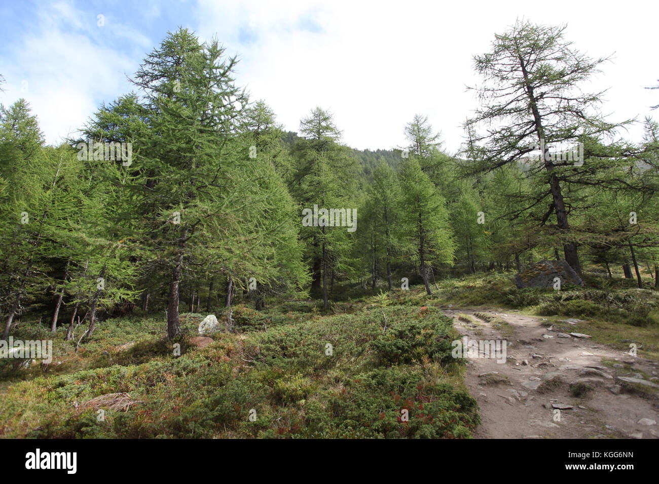 Amazing panoramas of mountain tops, glaciers and forests around the ...