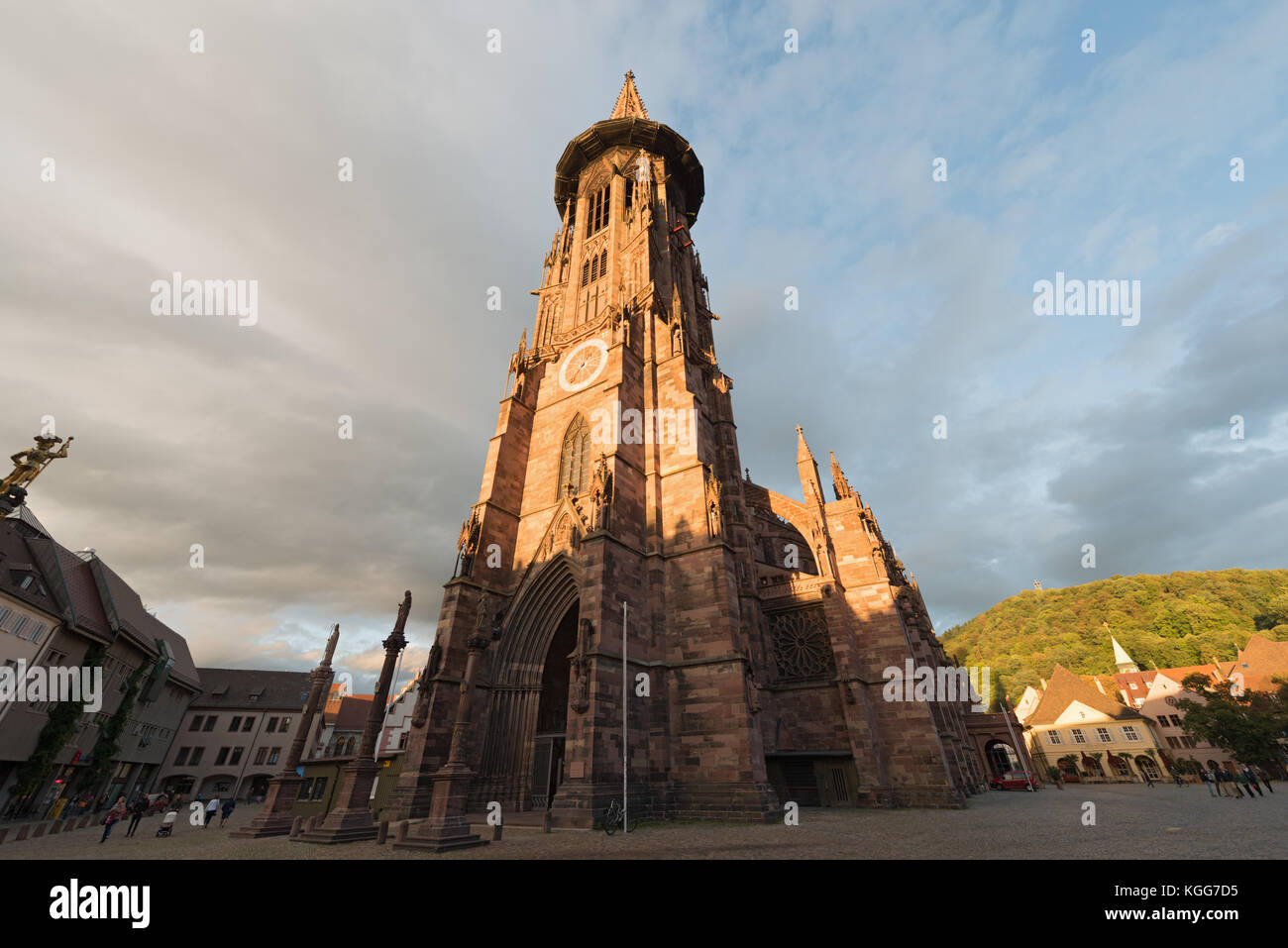 Freiburg Minster (cathedral of Freiburg im Breisgau, southwest Germany ...