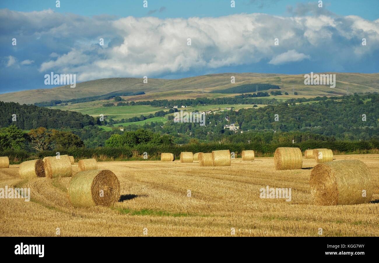 Farm Pasture Harvest Scotland Landscape Stock Photo - Alamy