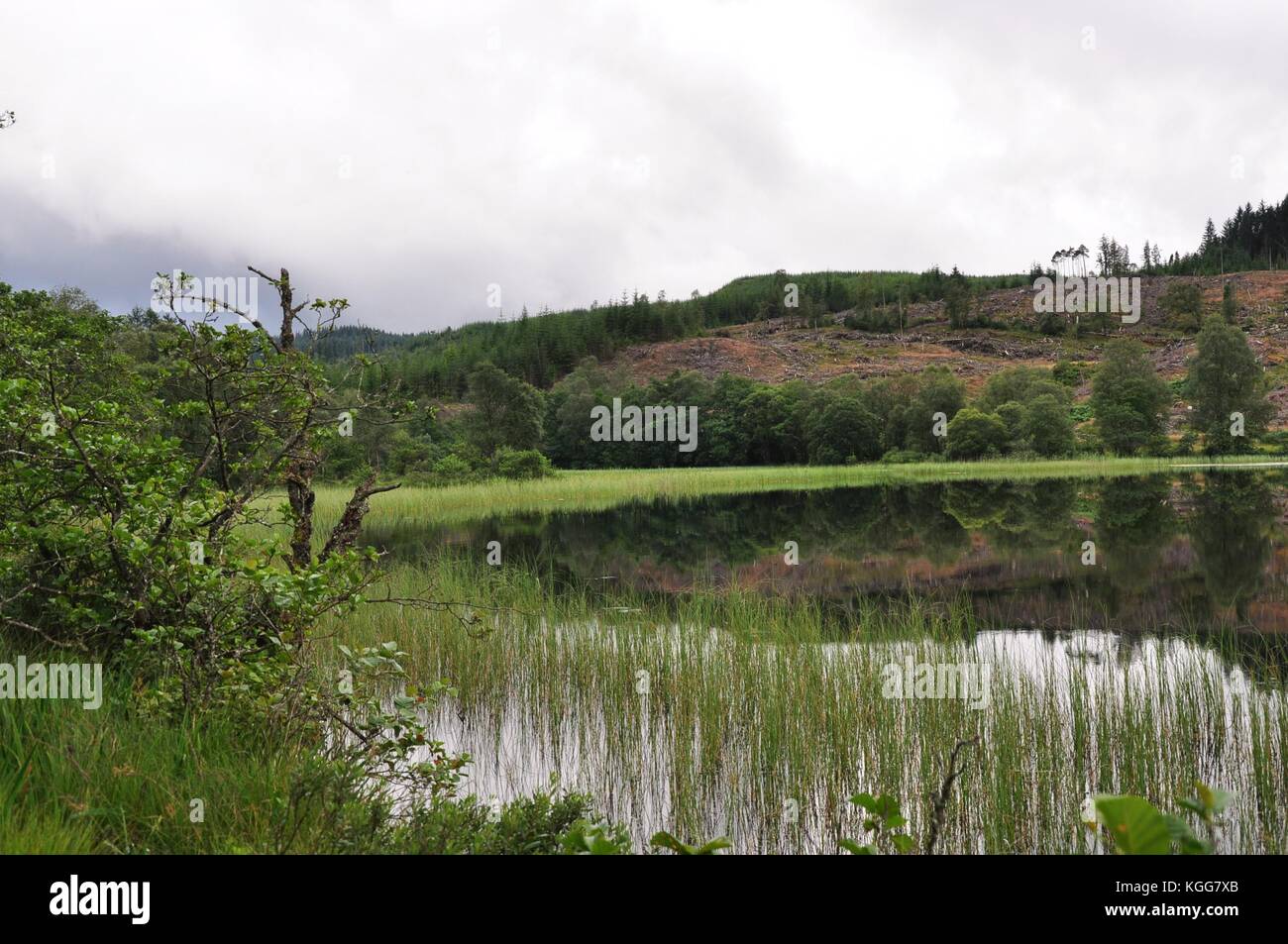 Loch ard view hi-res stock photography and images - Alamy
