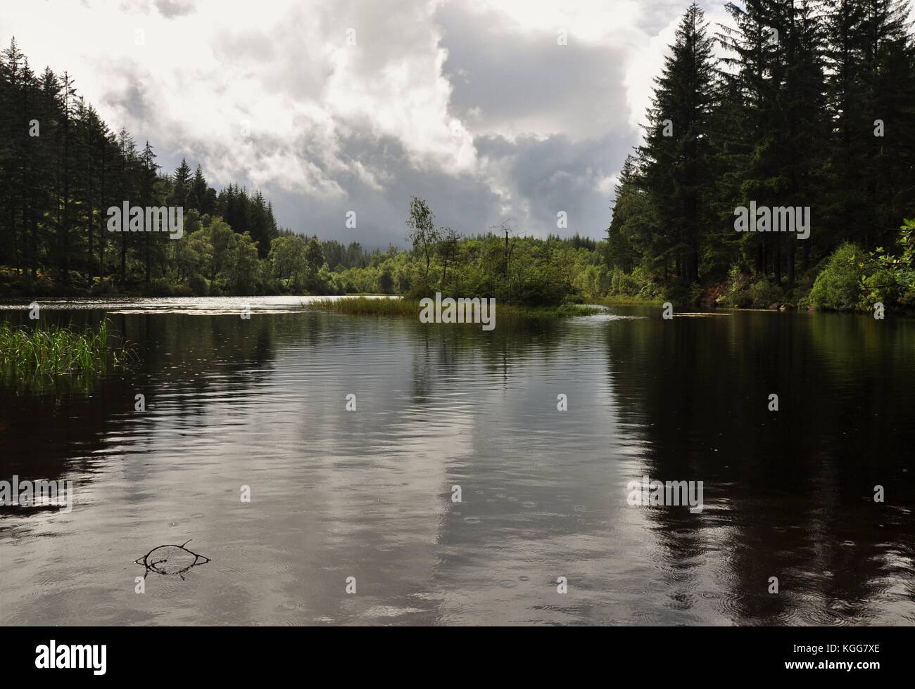 Green lochan hi-res stock photography and images - Alamy