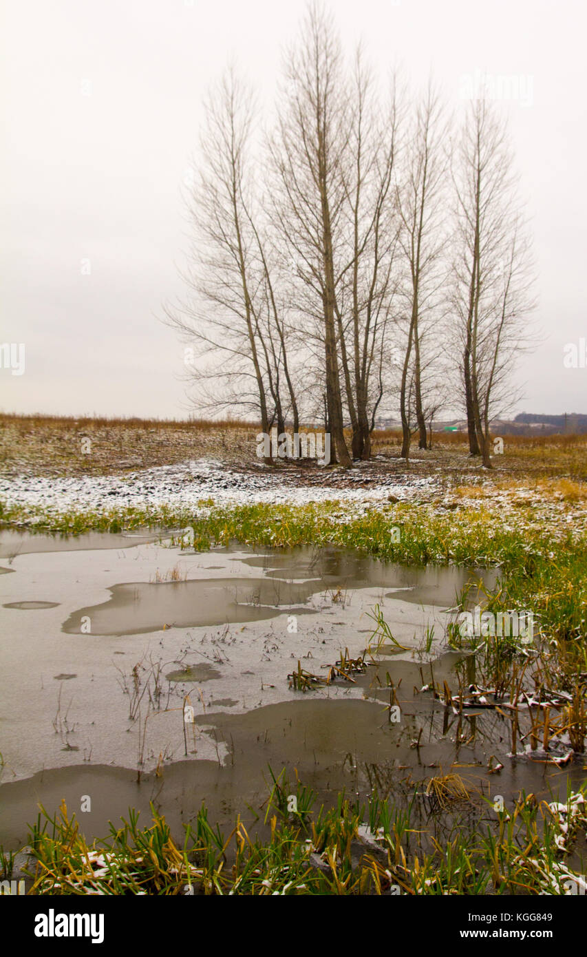 Autumn aspen trees pond aspen hi-res stock photography and images - Alamy
