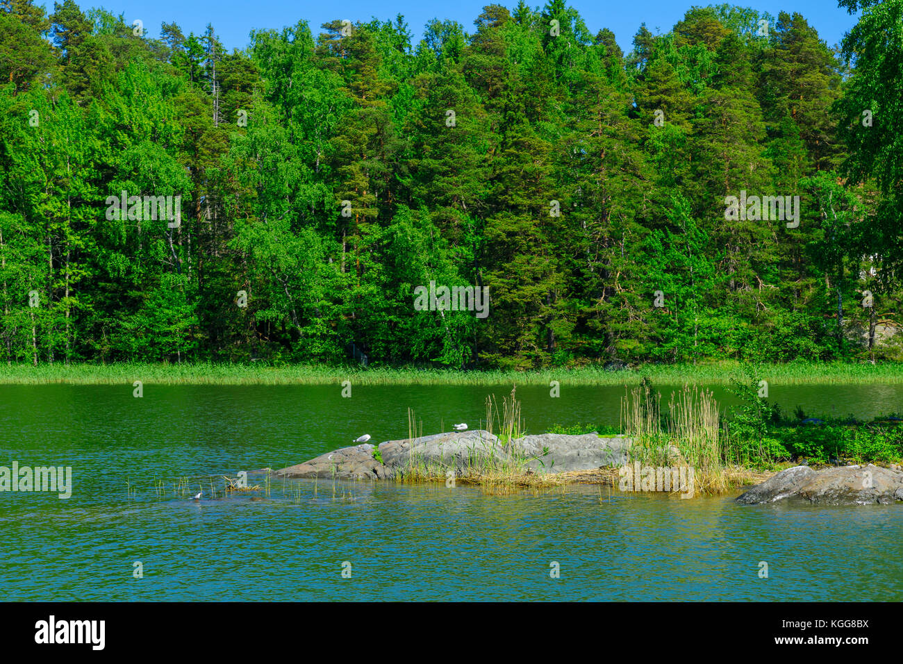 View of the coast of Vartiosaari island, in Helsinki, Finland Stock ...