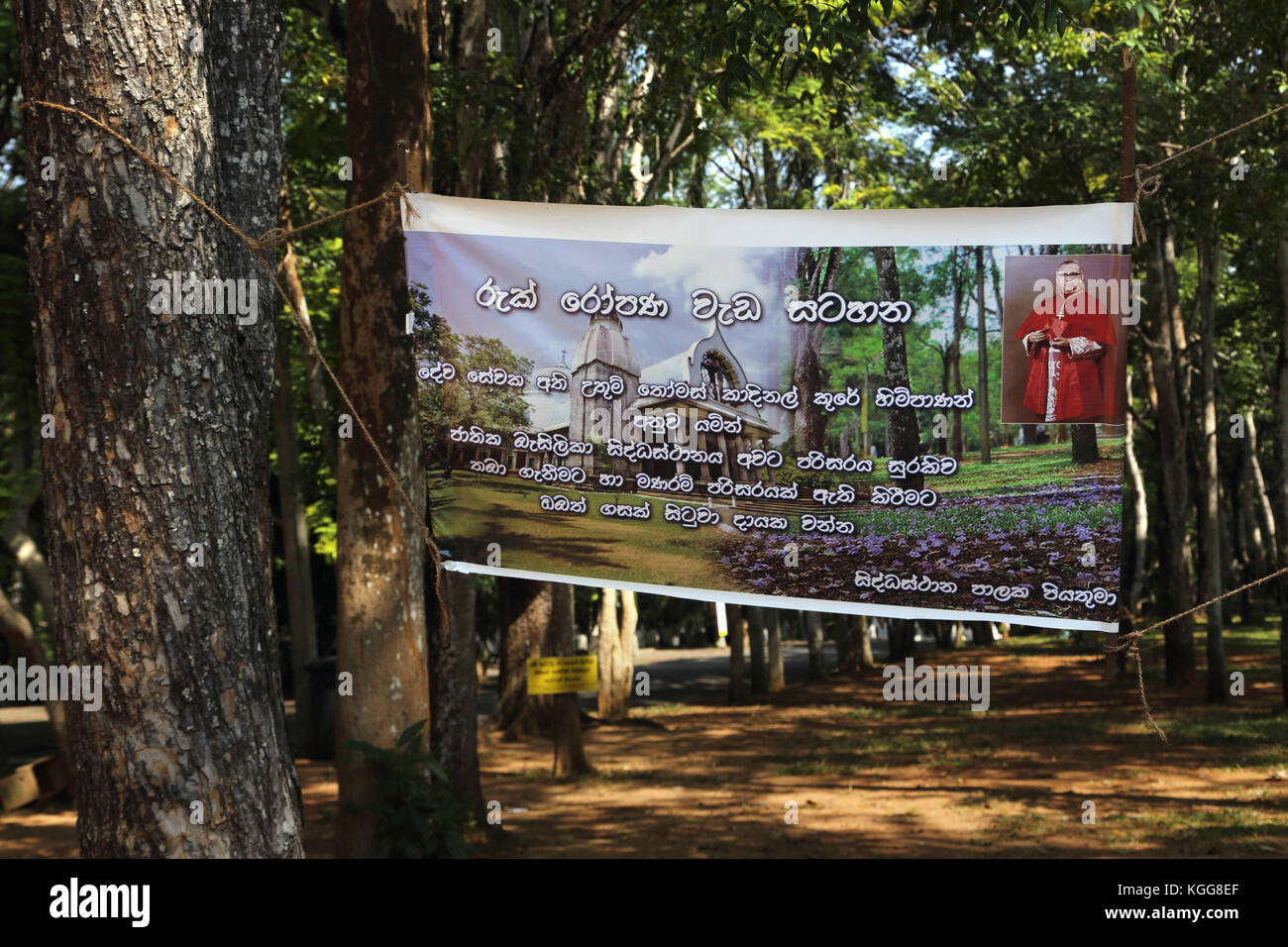 Basilica of our lady of lanka tewatte ragama sri lanka Banner about ...
