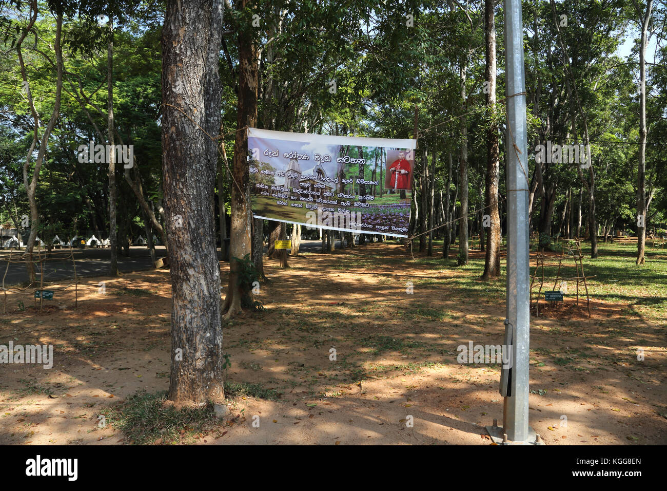 Basilica of our lady of lanka tewatte ragama sri lanka Banner about ...