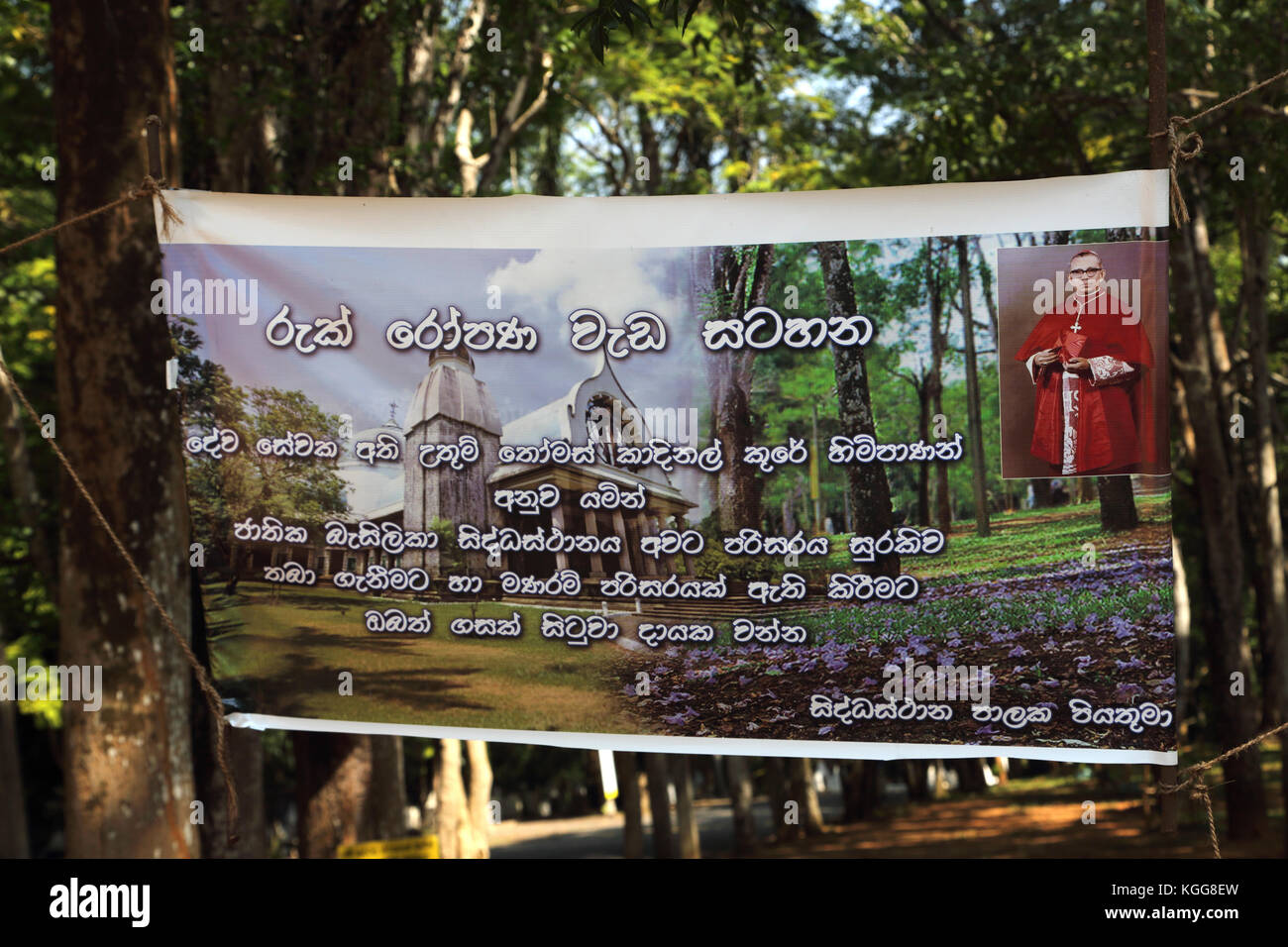 Basilica of our lady of lanka tewatte ragama sri lanka Banner about ...
