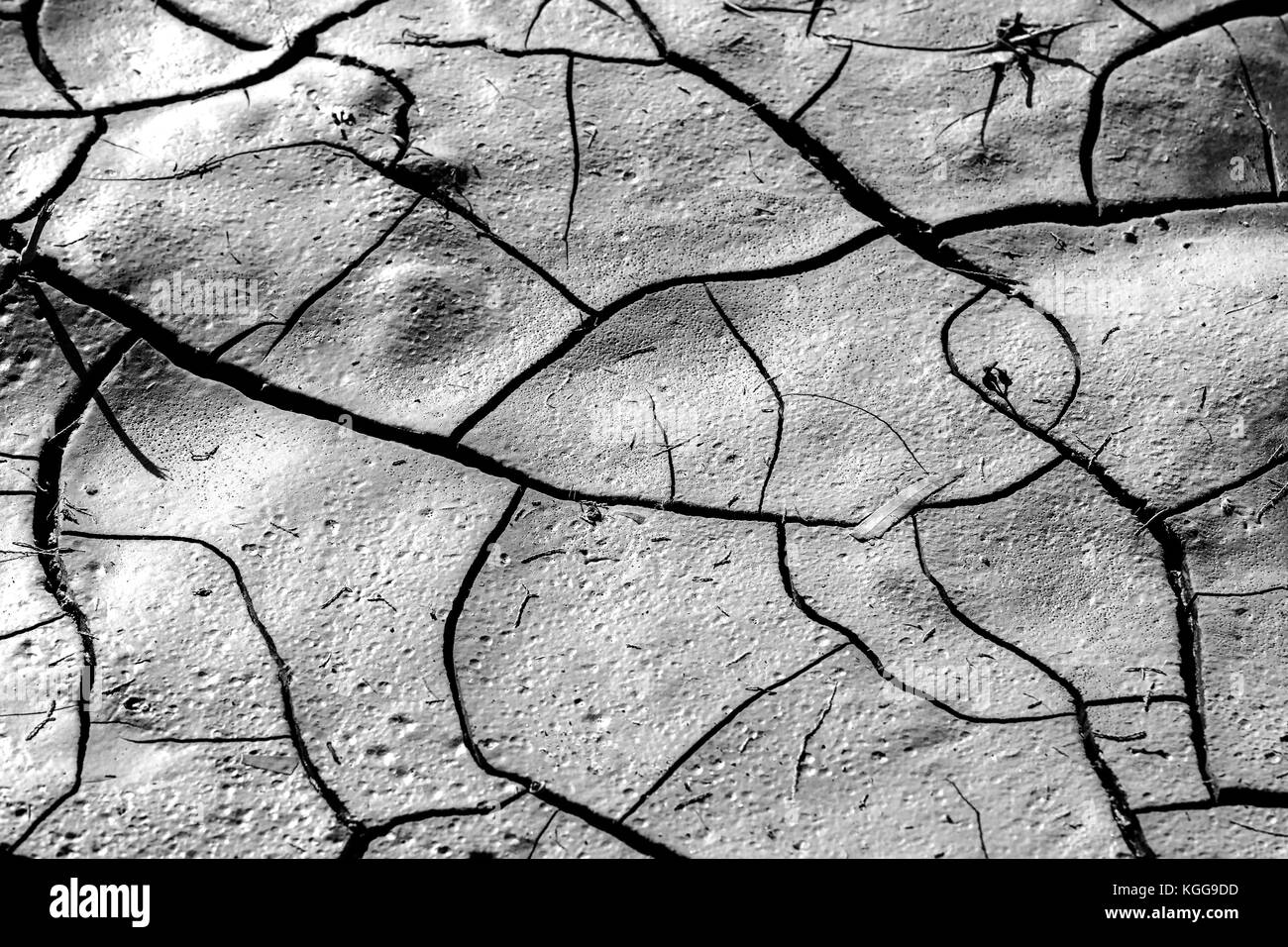 Soil Erosion Black and White Stock Photos & Images - Alamy