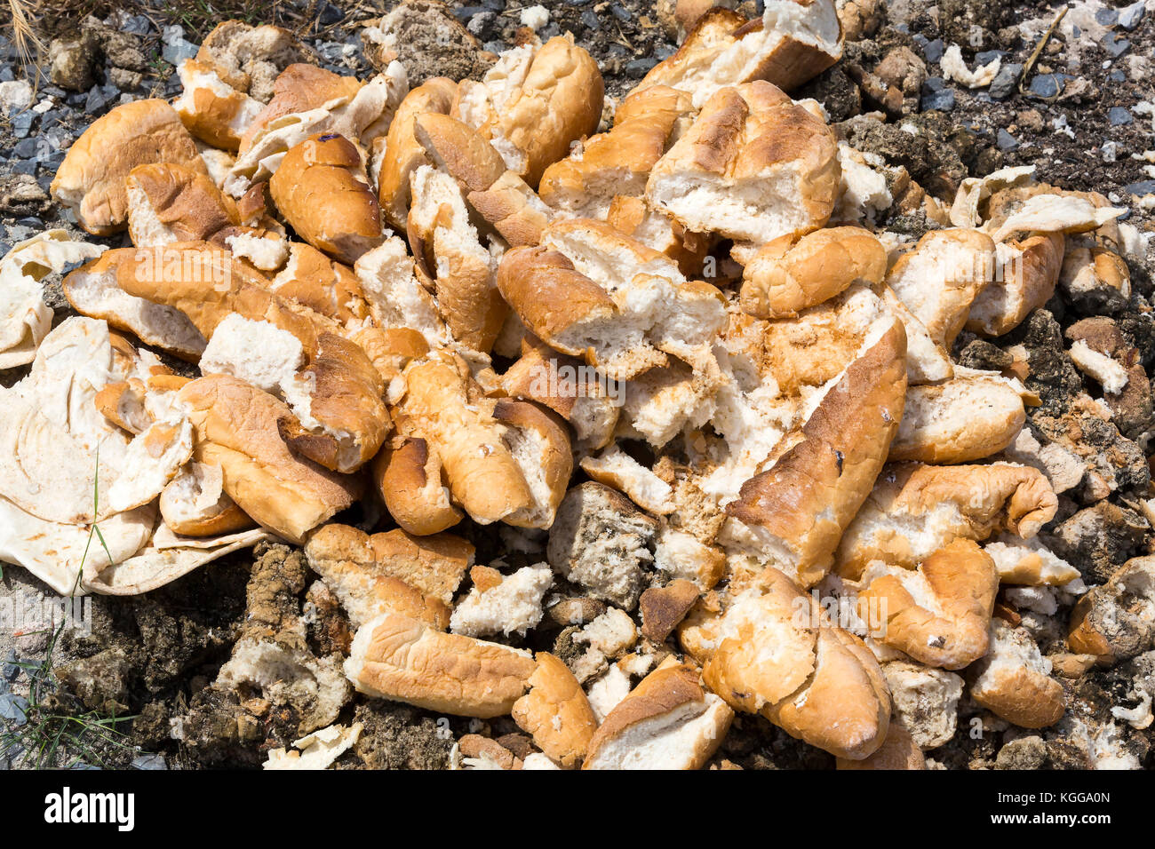 Bread stale dry old thrown on the trash Stock Photo - Alamy