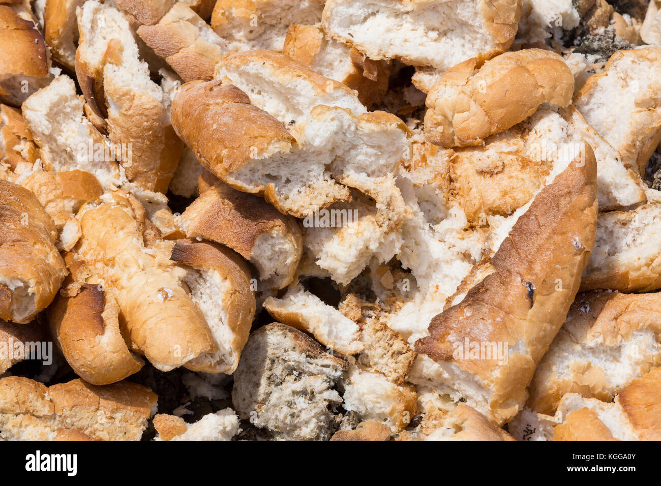 Bread stale dry old thrown on the trash Stock Photo - Alamy