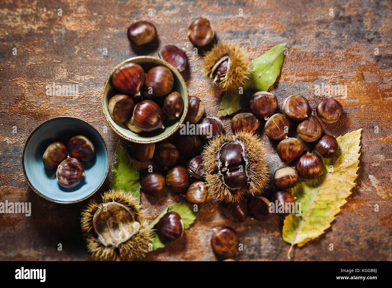 Fresh raw chestnuts fruits in autumn season Stock Photo - Alamy