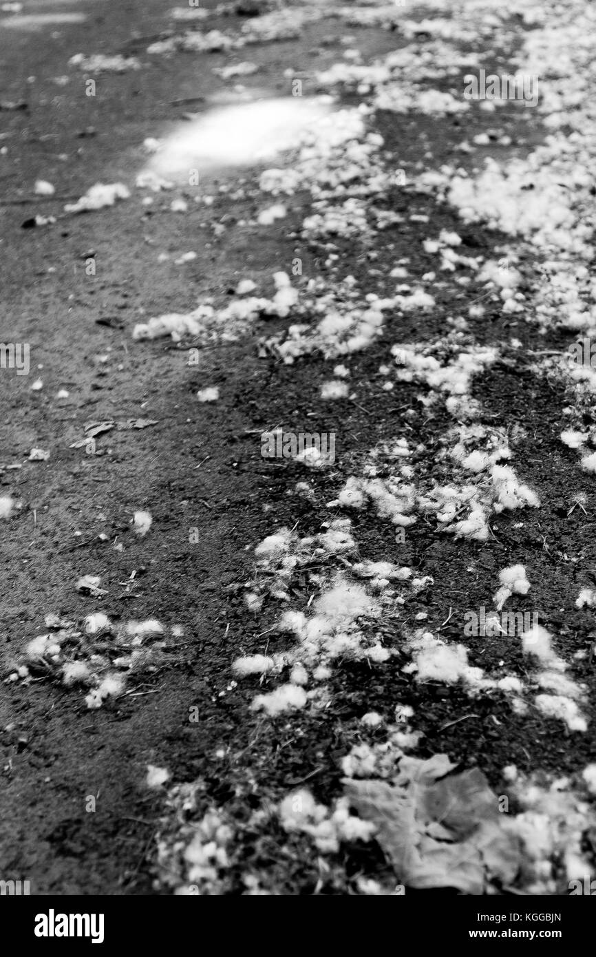 Monochromatic Walkway Black and White Stock Photos & Images - Alamy