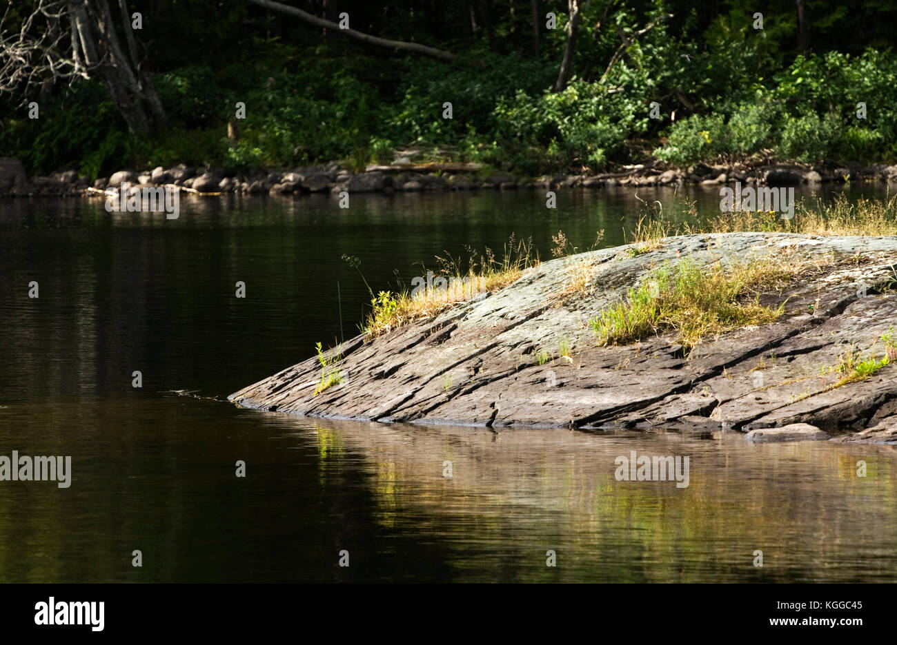 Canada, Ontario, North, forest Stock Photo - Alamy