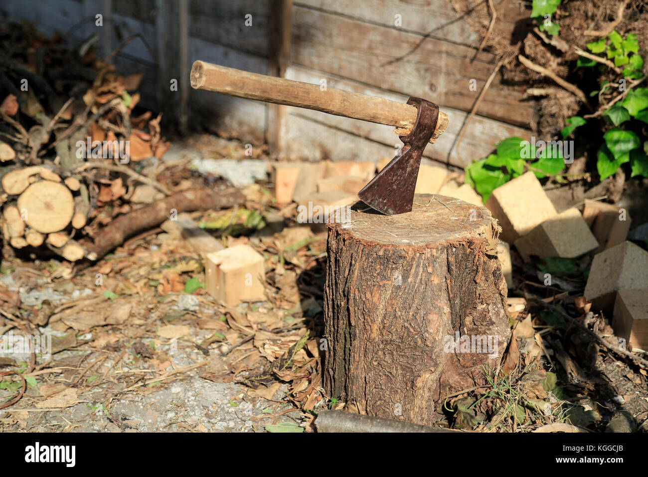 Ax used to cut the wood Stock Photo - Alamy