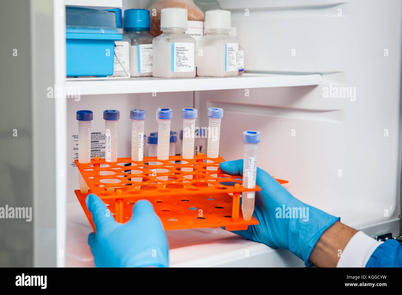 Young male scientist and laboratory freezer Stock Photo - Alamy
