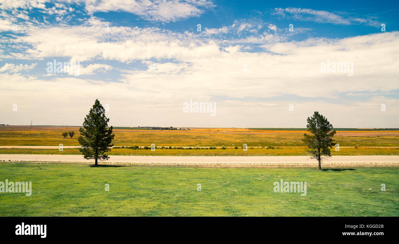 Kansas City Tree High Resolution Stock Photography and Images - Alamy