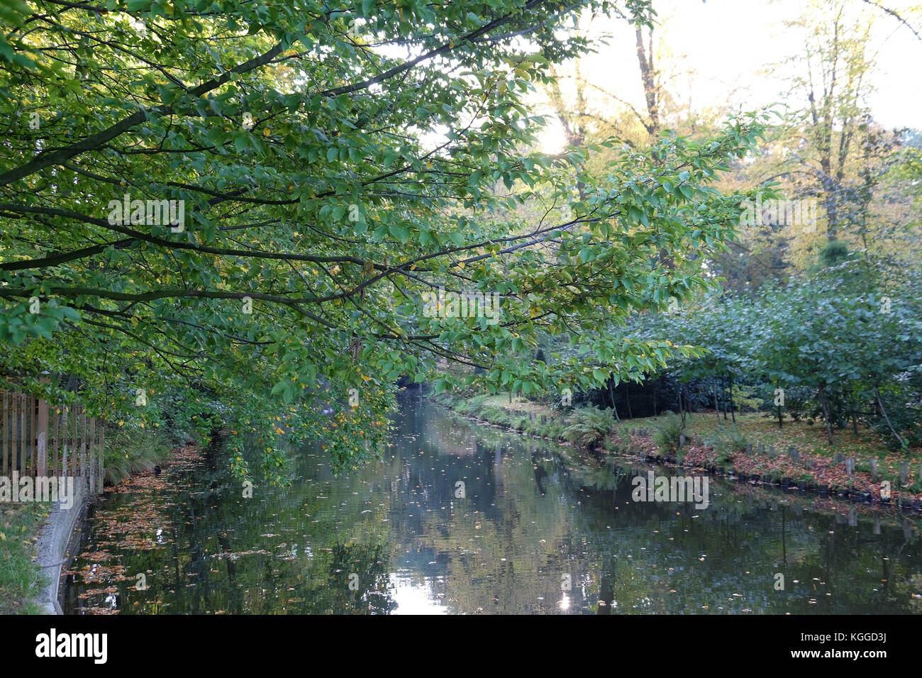 winterswijk in the netherlands Stock Photo - Alamy