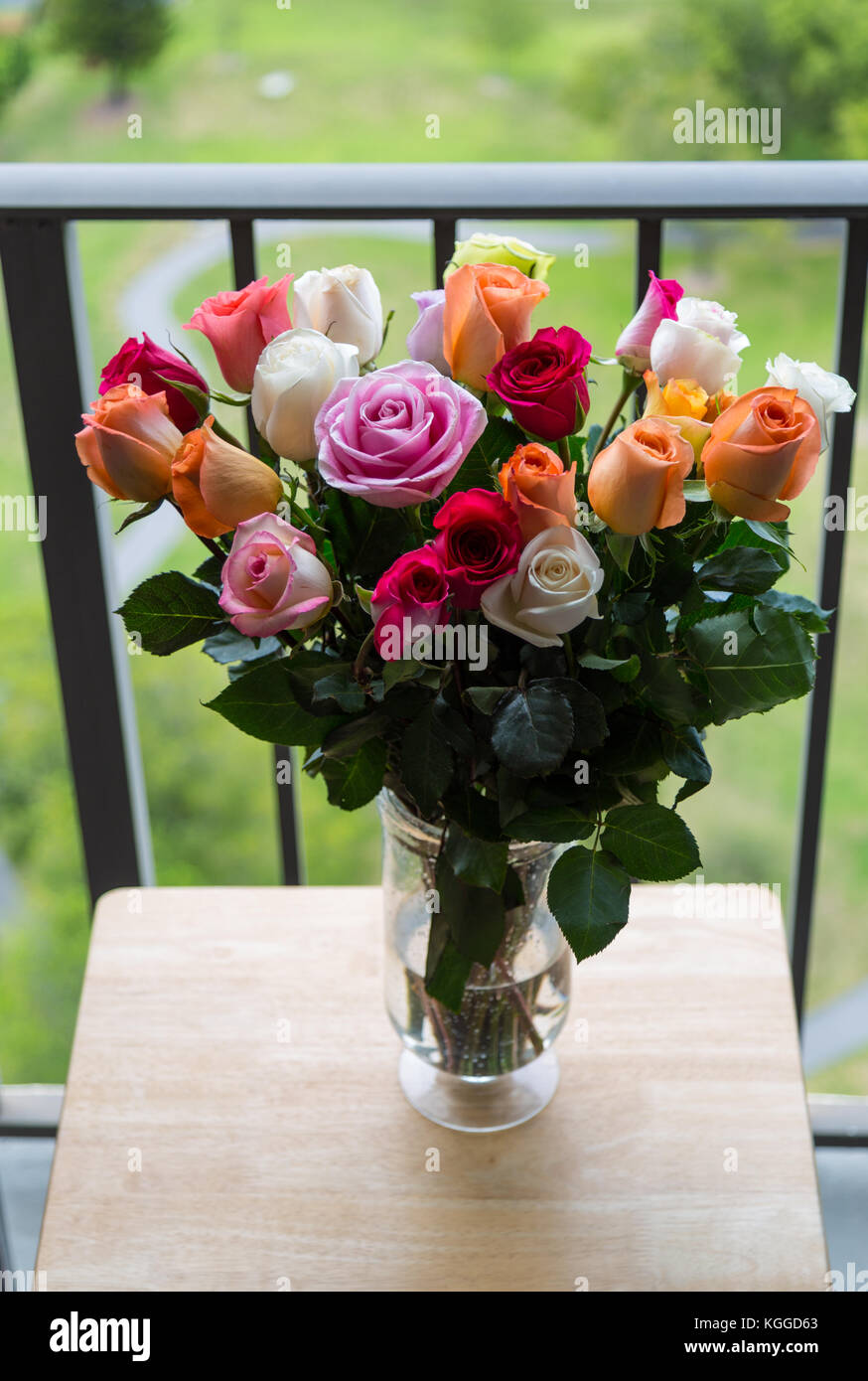 Beautiful multi-colored Roses Stock Photo - Alamy